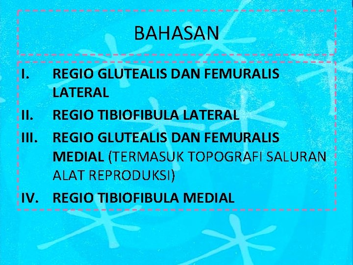 EXTREMITAS CAUDAL I LATERAL REGIO PADA KAKI BELAKANG