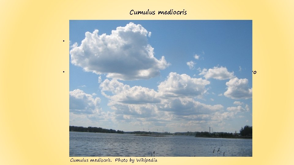 Cumulus humilis Vengono anche chiamati cumuli di bel