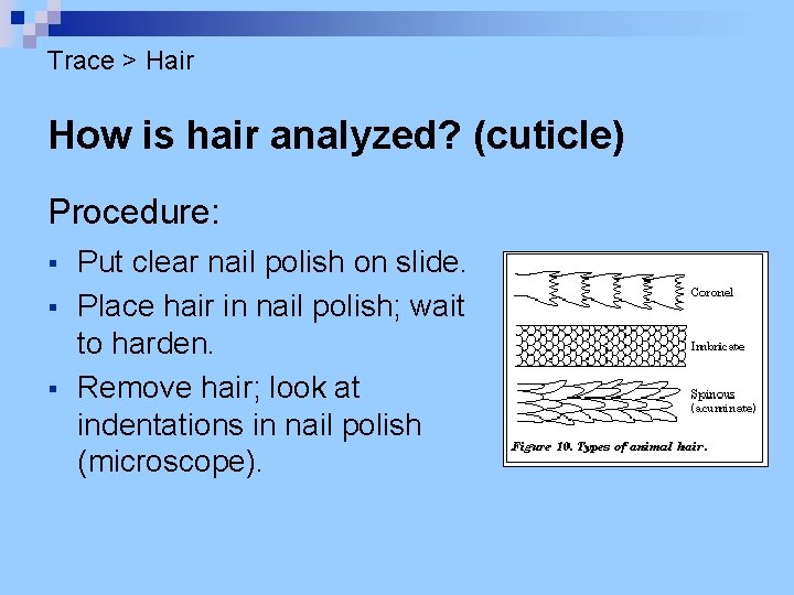 Chapter 8 Hair Fiber Paint What is hair