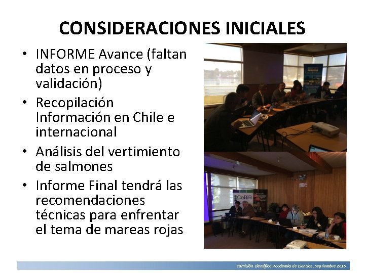 INFORME DE AVANCE Comisin Marea Roja Alejandro Buschmann
