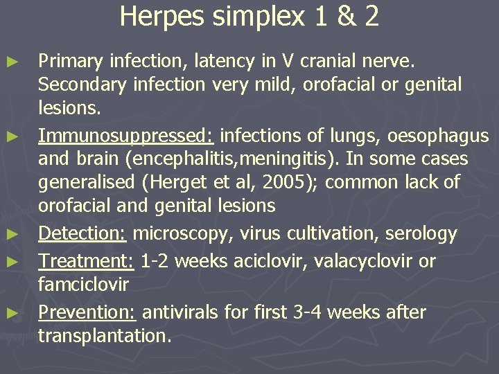 Viral opportunistic infections Joanna NikitorowiczBuniak Immunology ...
