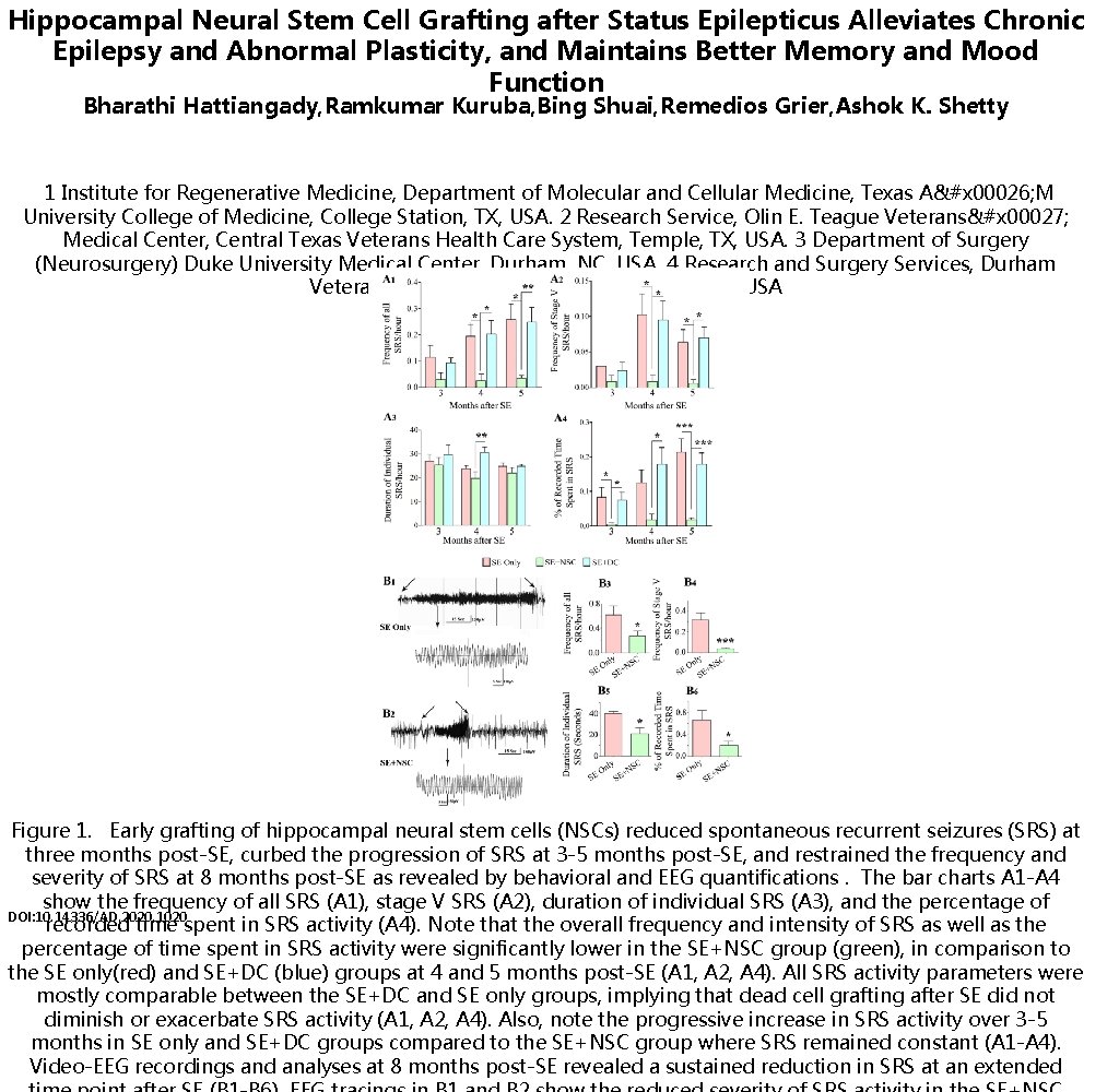 Hippocampal Neural Stem Cell Grafting after Status Epilepticus