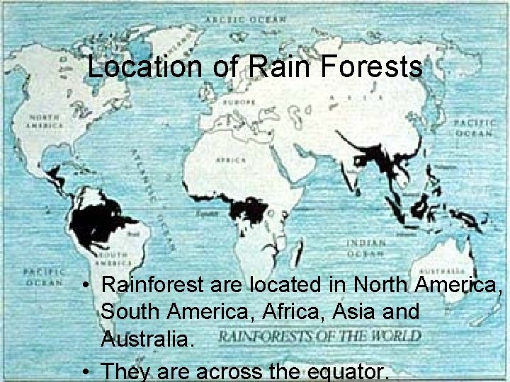 Rainforest By Angel and Jack What is a