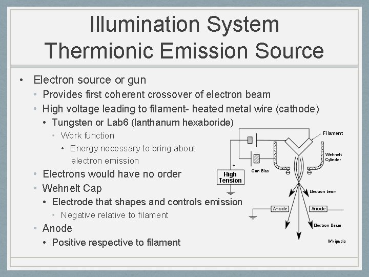 The Transmission Electron Microscope Bob Ashley 6 21