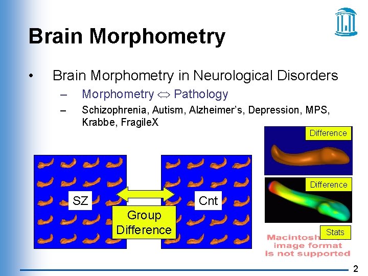 Framework for the Statistical Shape Analysis of Brain