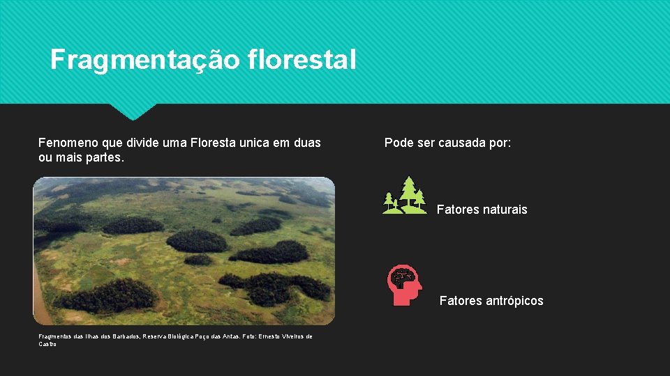 Avaliao de aspectos ambientais limitantes a implantao e