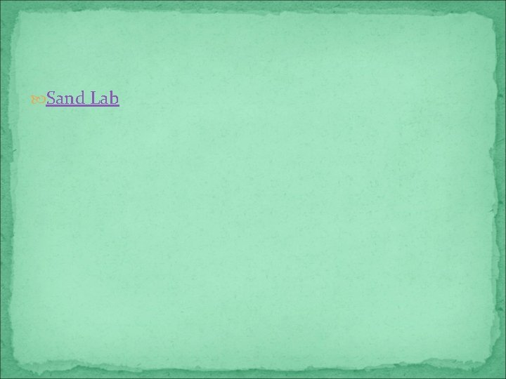 First of the Day Murder on the Beach