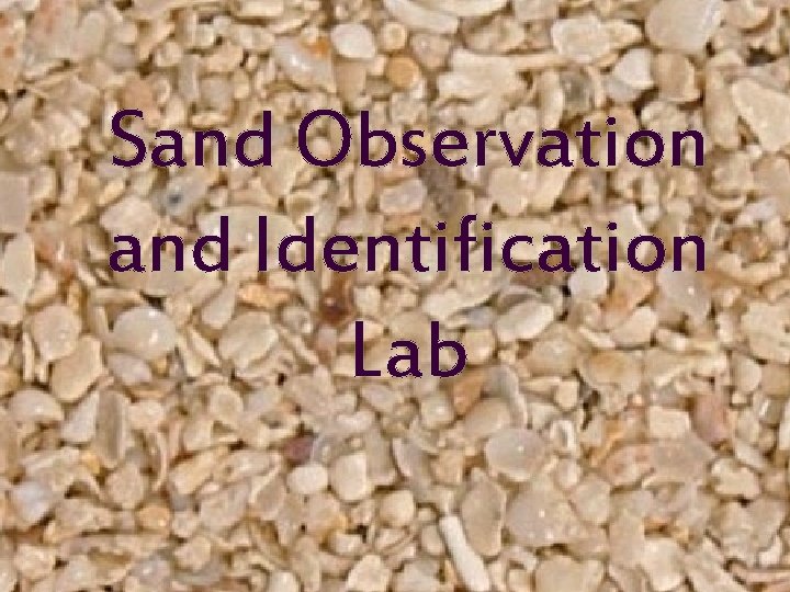 First of the Day Murder on the Beach