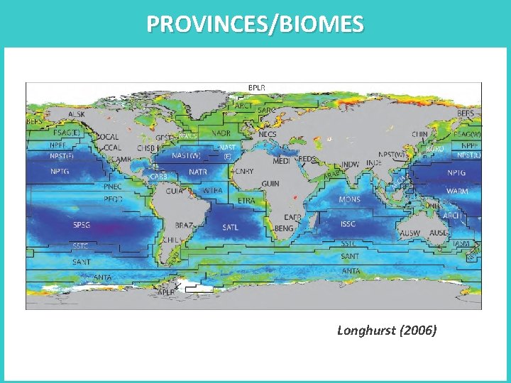 Characterizing marine habitats and their changes using satellite