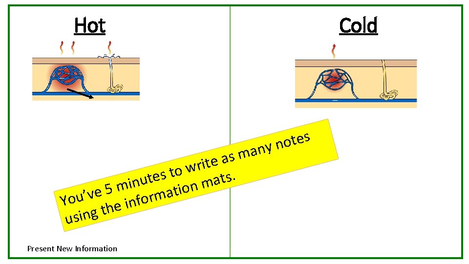 IDENTIFY the 4 components of blood 4 Identify