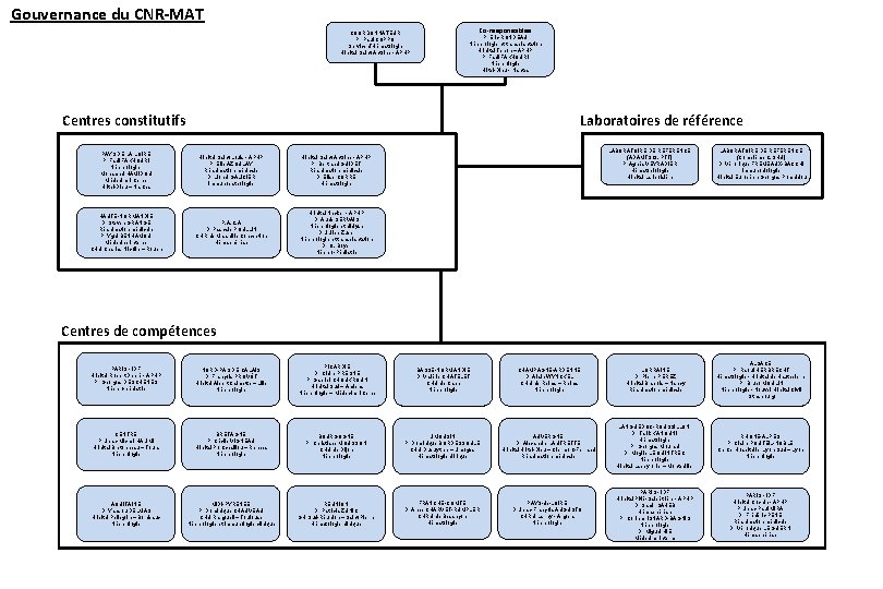 Gouvernance du CNRMAT COORDONNATEUR Pr Paul COPPO Service
