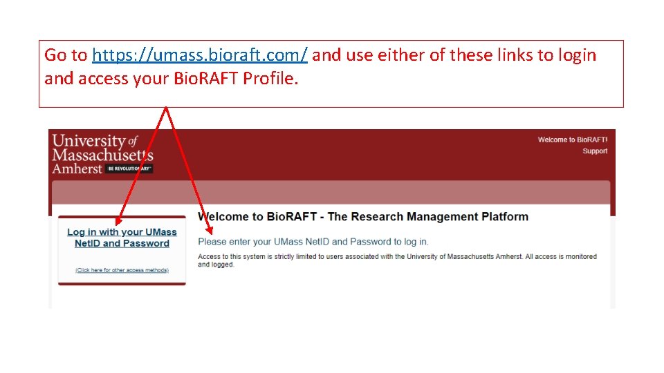PI Guidance for lab setup in Bio RAFT