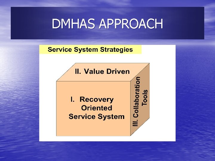 Federal Substance Abuse and Mental Health Service Administration