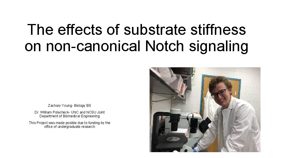 The effects of substrate stiffness on noncanonical Notch