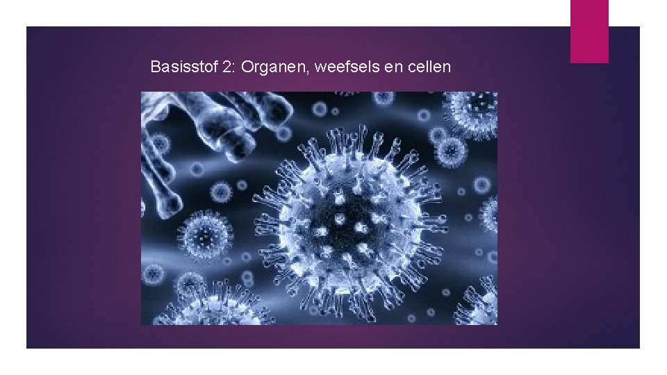 Basisstof 2 Organen weefsels en cellen 1 Basisstof