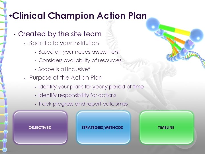 Overview of the Action Plan Clinical Champion Action
