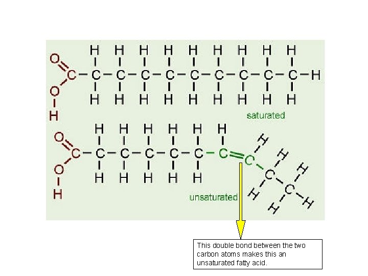 Organic Chemistry the study of carbon and most