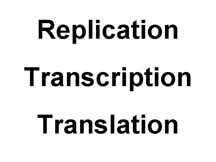 Replication Transcription Translation Structure of DNA 8 2