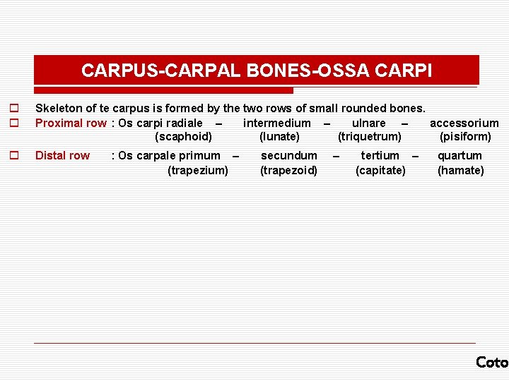 OSSA MEMBRI THORACICI Forelimb o The girdle Cingulum
