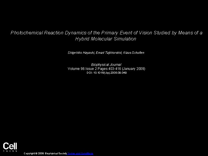 Photochemical Reaction Dynamics of the Primary Event of