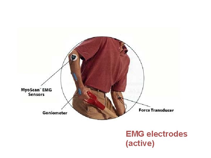 Intro to Biosignals ECE 4552 Medical Electronics By