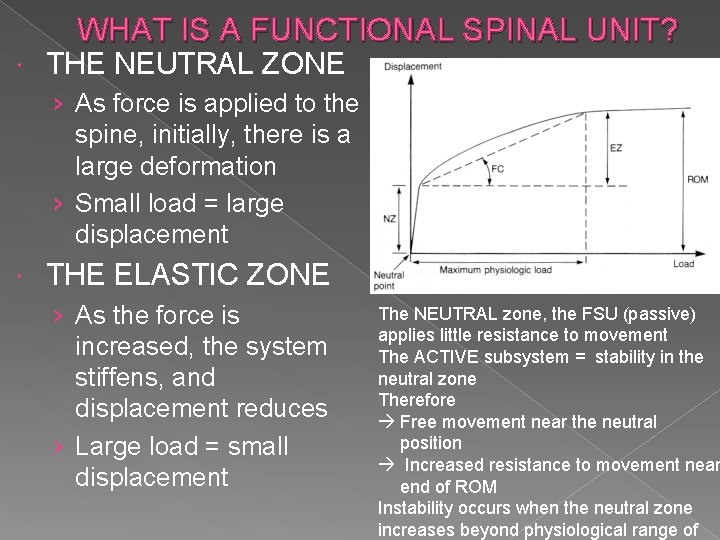 BIOMECHANICS OF THE SPINE FSU AND FREE BODY