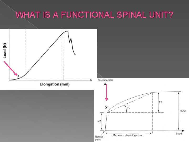 BIOMECHANICS OF THE SPINE FSU AND FREE BODY