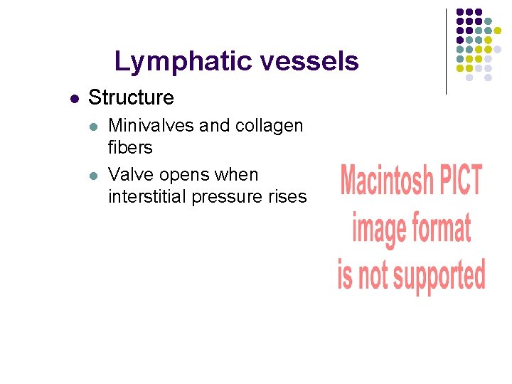 Human Anatomy and Physiology Lymphatic system Components l