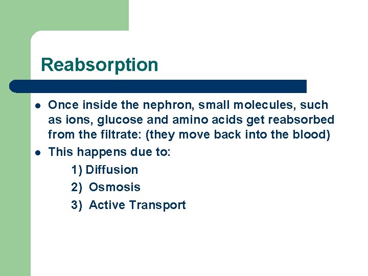 Kidney Processes Section 12 1 Part B p