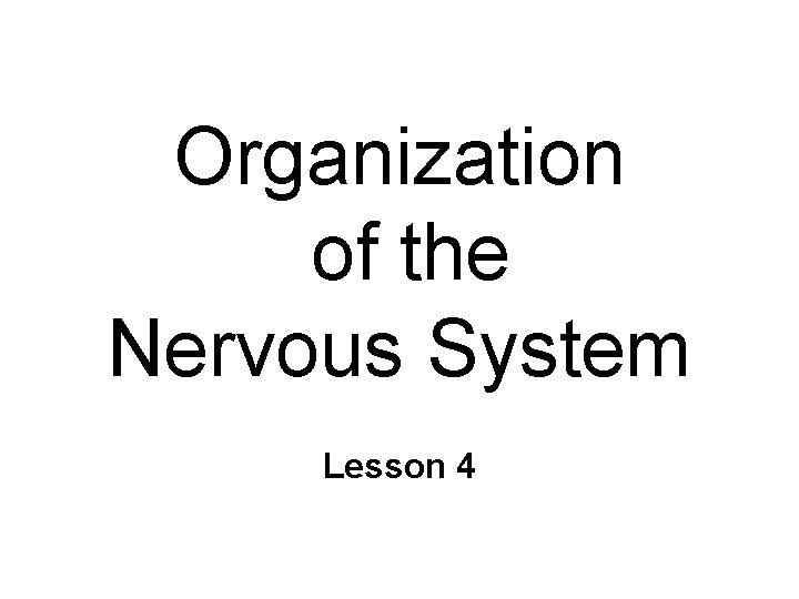 Organization of the Nervous System Lesson 4 The