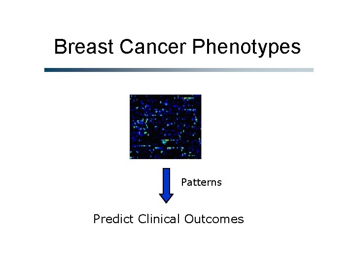 Biological Phenotypes 1 The observable physical or biochemical