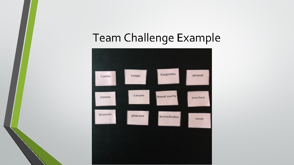 Medical Terminology Lab Techniques Teams and Terms Linda