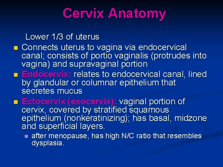 PATHOLOGY OF CERVIX Cervix Anatomy n n n
