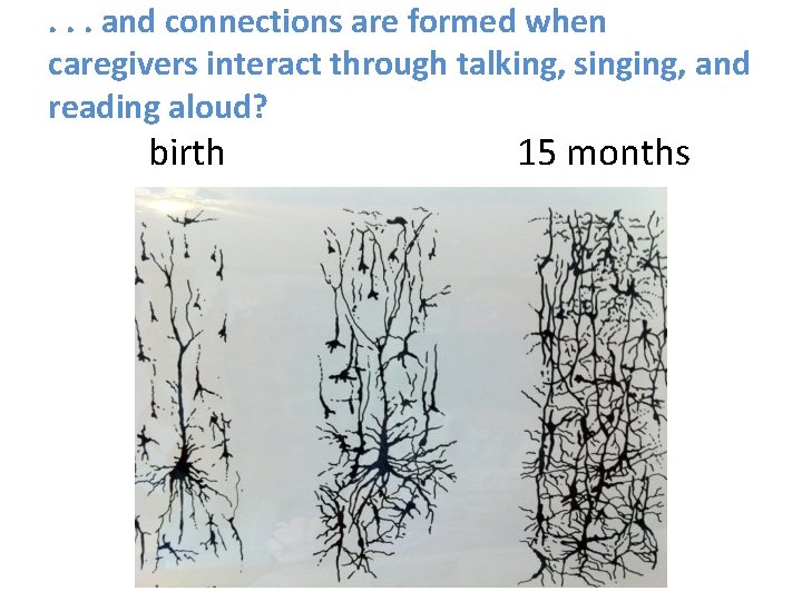 100 Billion NeuronsFostering Language Development in Young Children