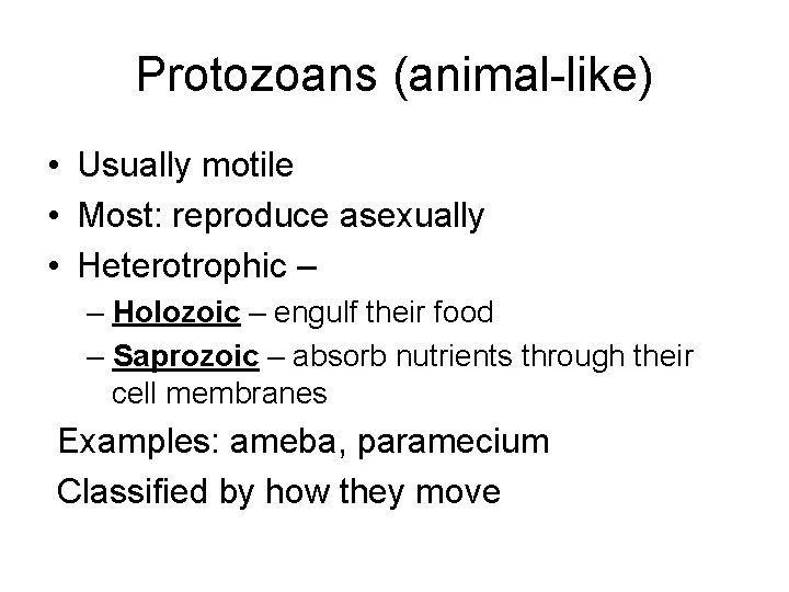 Kingdom Protista Protista the very first Not plants