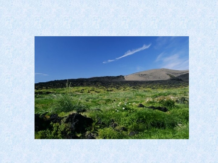 Island colonization and island biogeography Relevant pages in