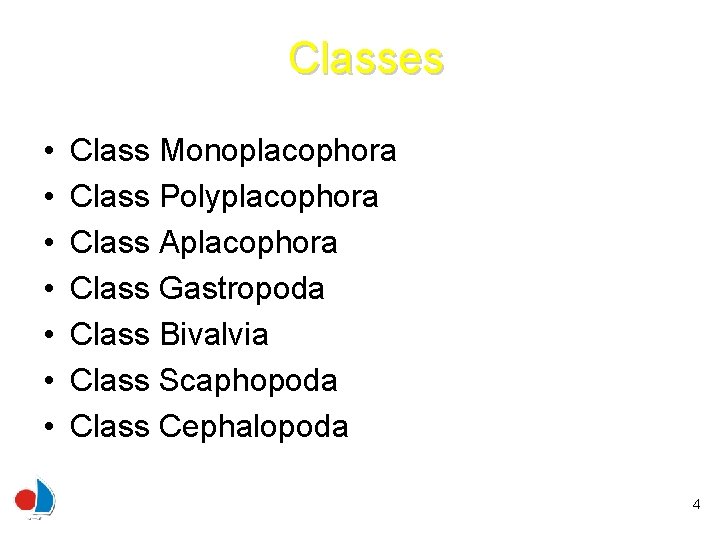 Mollusks Odyssey Expeditions Phylum Molluska Means soft body