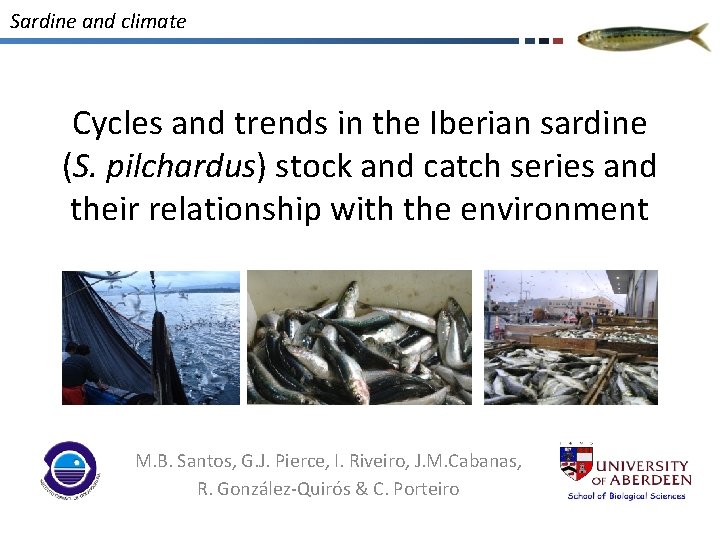 Sardine and climate Cycles and trends in the