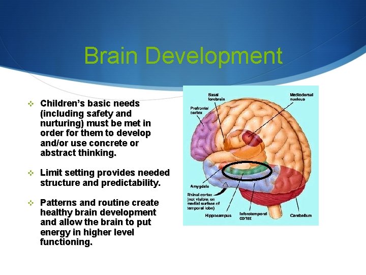 Raising ValuesDriven Boys Challenges for the Intentional Parent