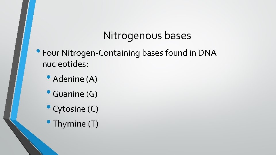 The Structure of D N A Brain Tap