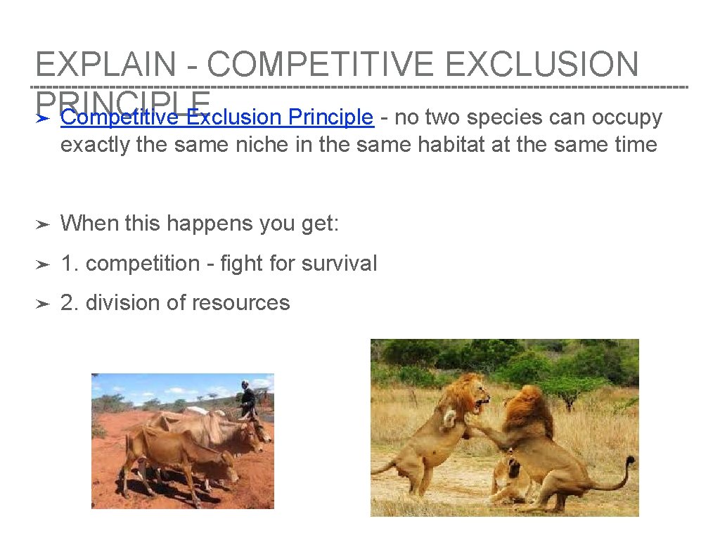 ECOSYSTEMS AND COMMUNITIES Big Q How do abiotic