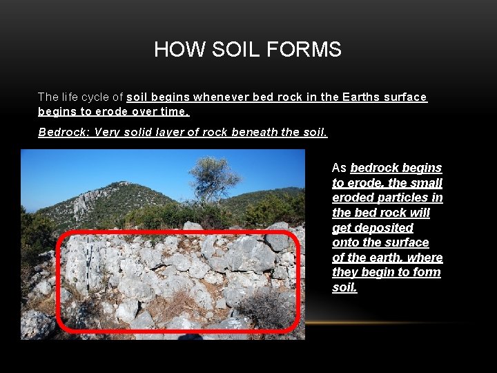 SOILS WHAT IS SOIL IT IS NOT JUST