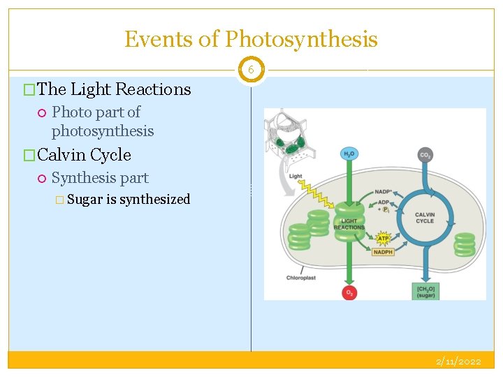 Photosynthesis PACKET 30 CHAPTER 10 Introduction 2 Photosynthesis