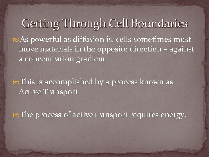 All About Cells Cell Boundaries Part 2 Getting