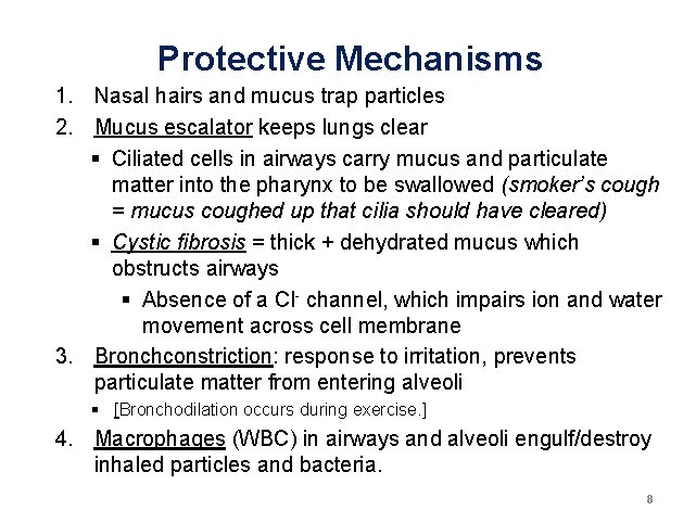 Respiratory System Chapter 13 1 Topics Respiratory Structures