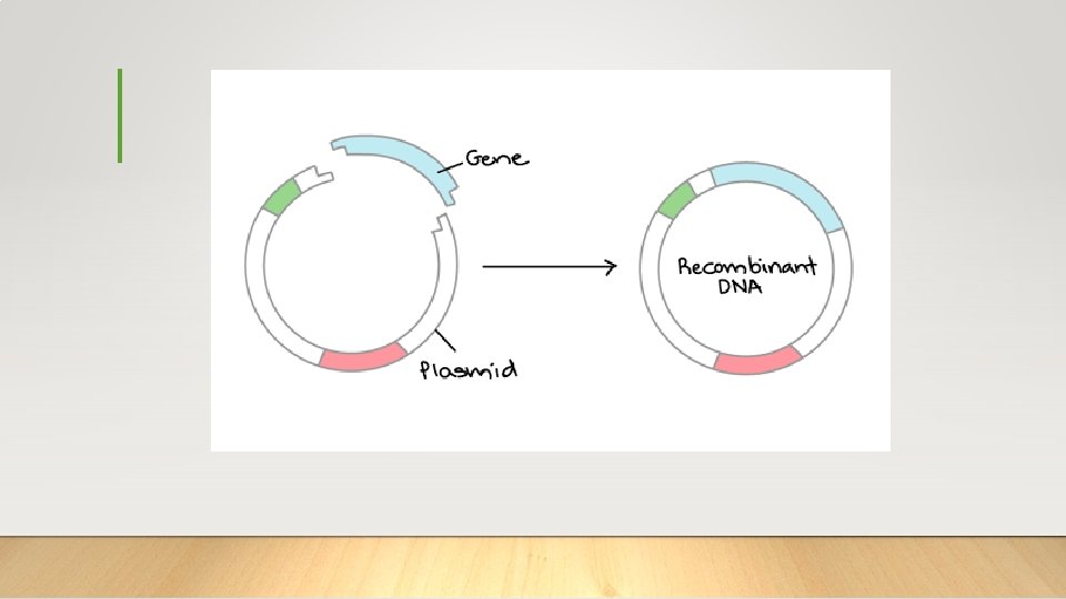 Biotechnology What is it Any commercial use or