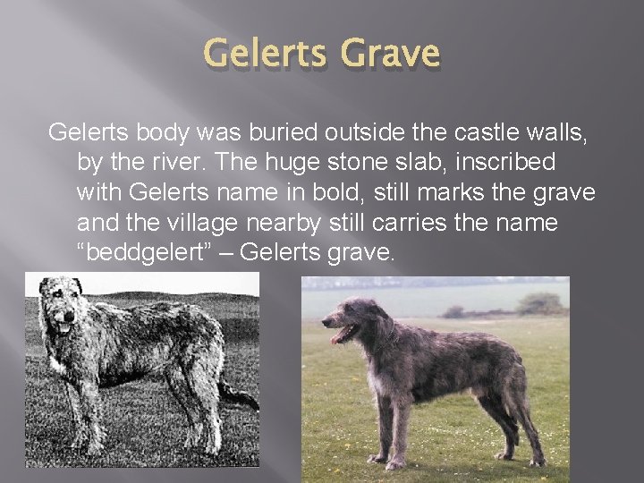 GELERT BRIEF The story of Gelert is about