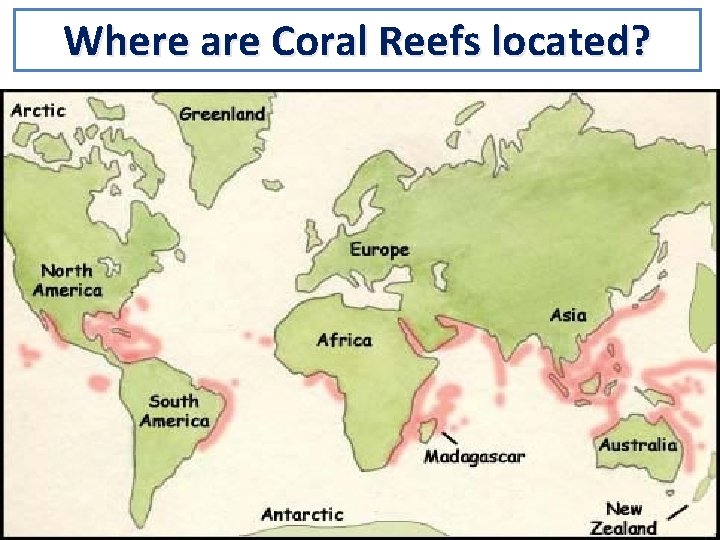 Coastal Ecosystems How do mangroves and coral reefs
