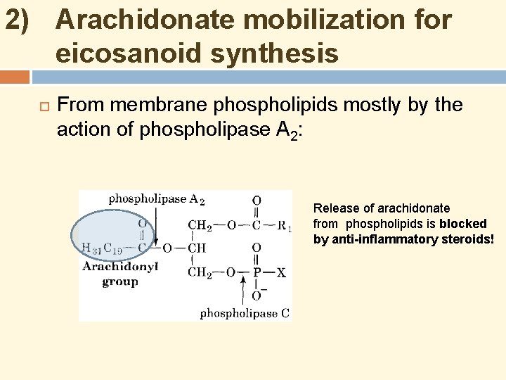 BIOCHEMISTRY OF SIGNALLING MOLECULES CYTOKINES AND METABOLISM OF