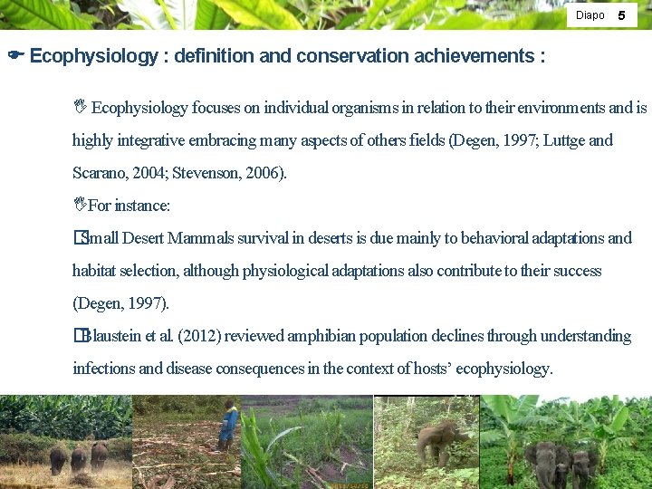 Diapo 1 The wildlife day sunstainable management and